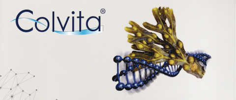 COLVITA ® 120 CAPSULES - Caufriez Concept
